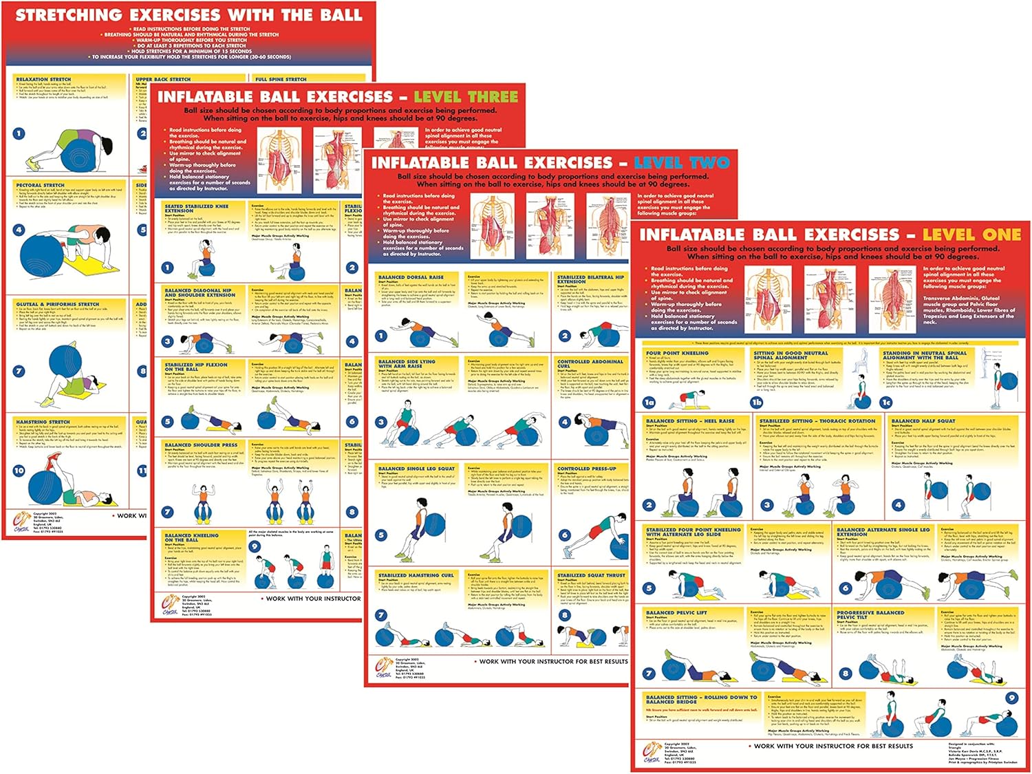 Gym Ball Exercise Chart Series (A3 Laminated, Set of 4) : Amazon.co.uk ...