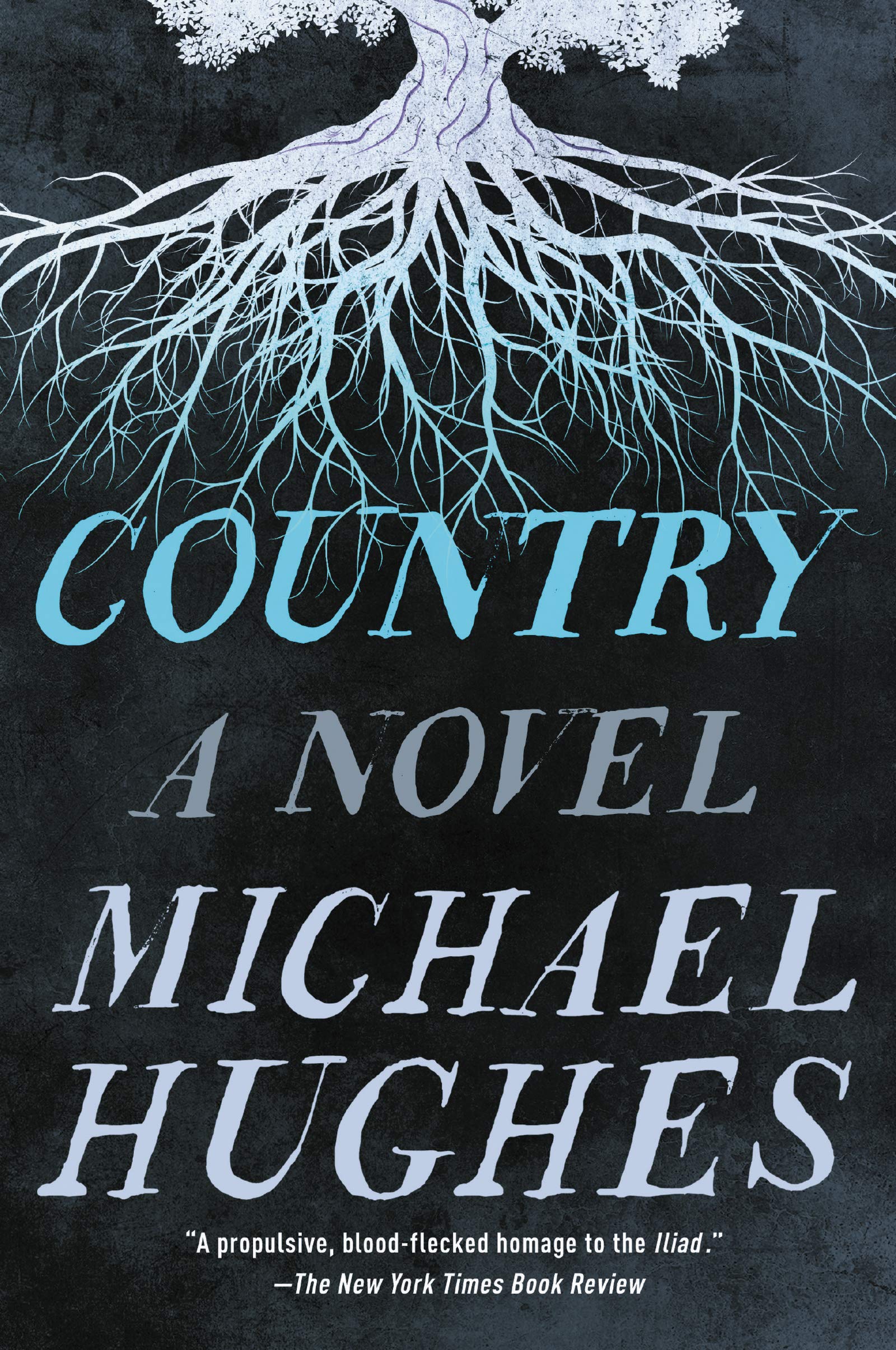 Amazon.com: COUNTRY: 9780062940308: Hughes, Michael: Books