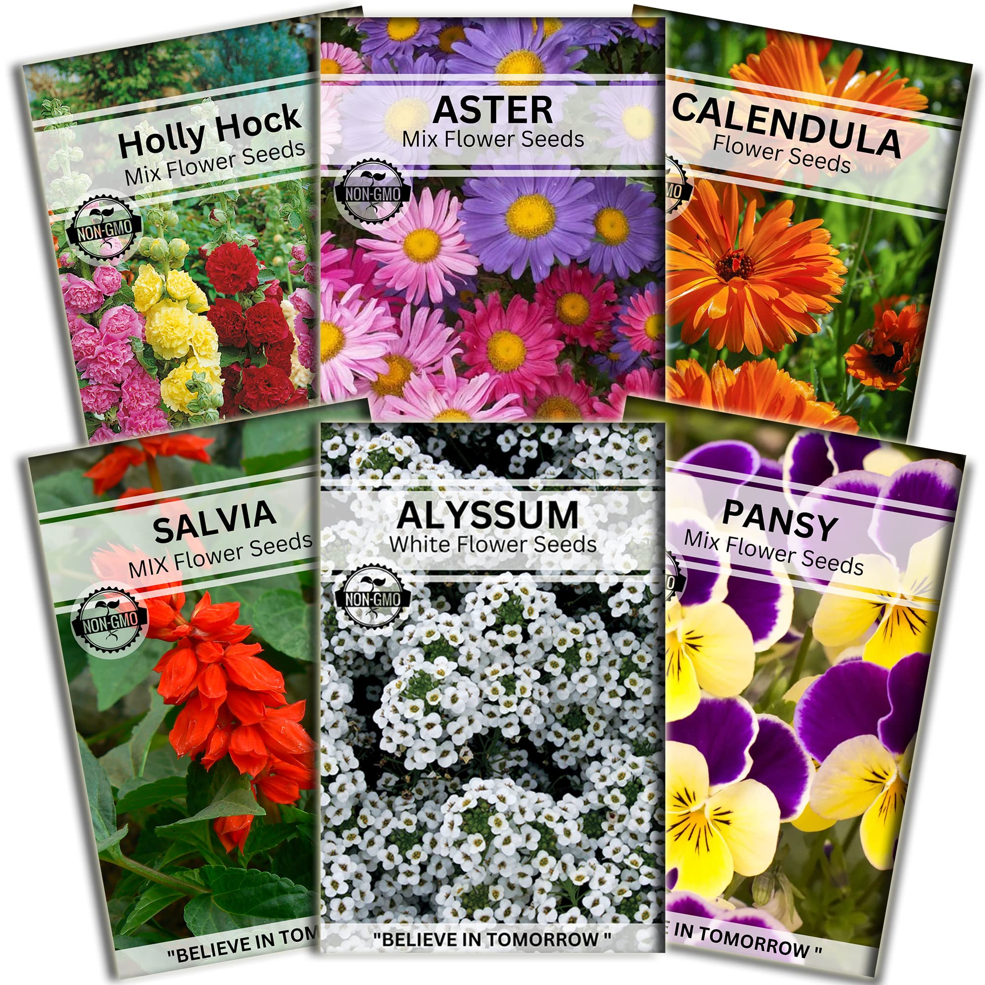 6 Packet Flower Seeds Combo for Garden Flower Seeds for Home Garden ...
