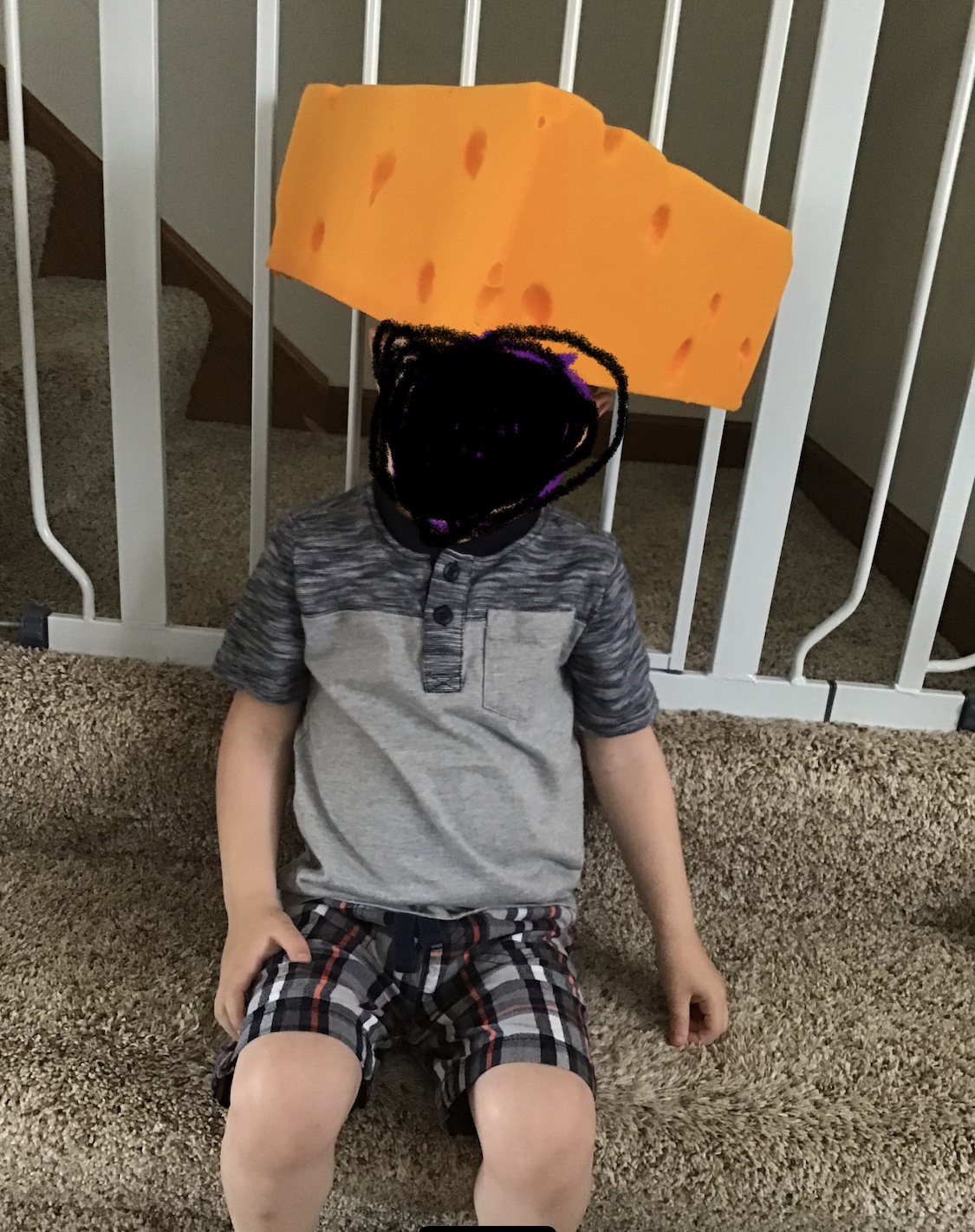 Amazon.com : Cheesehead Hat (Large) : Sports Fan Novelty Headwear ...