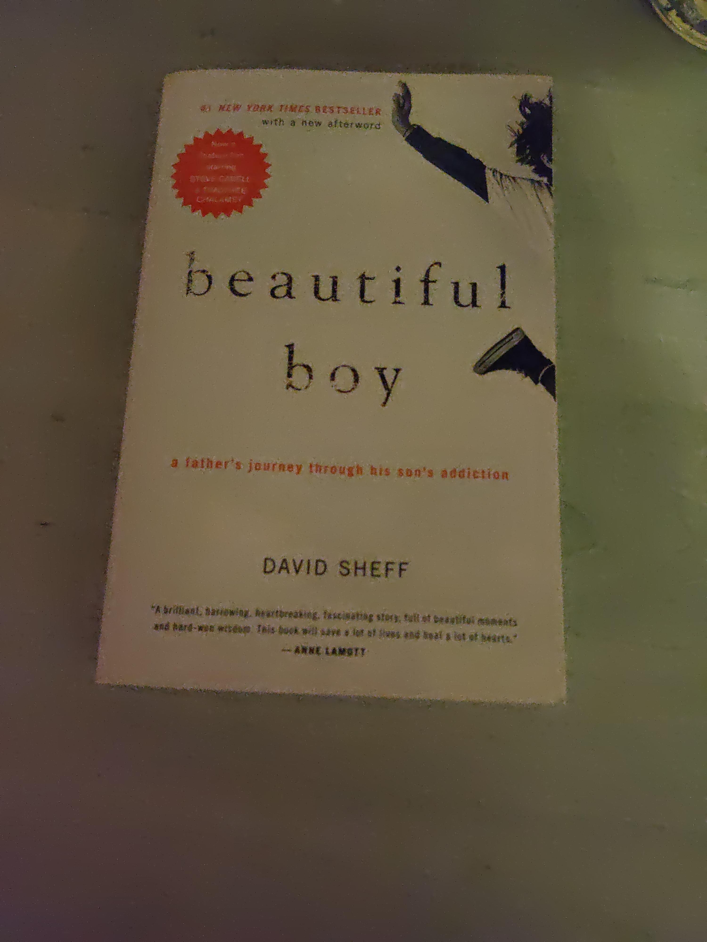 Buy Beautiful Boy Book Online at Low Prices in India | Beautiful Boy ...