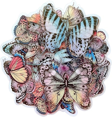 Amazon.com: Dream Butterfly Decorative Adhesive Sticker, Craft ...