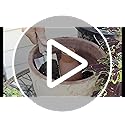 Amazon.com : The Olla Company Classic Olla Watering Pot with Lid ...