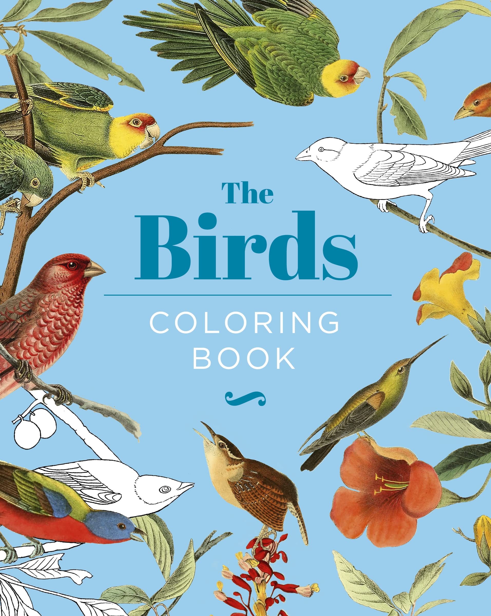 Amazon.com: The Birds Coloring Book: Hardback Gift Edition (Hardback ...