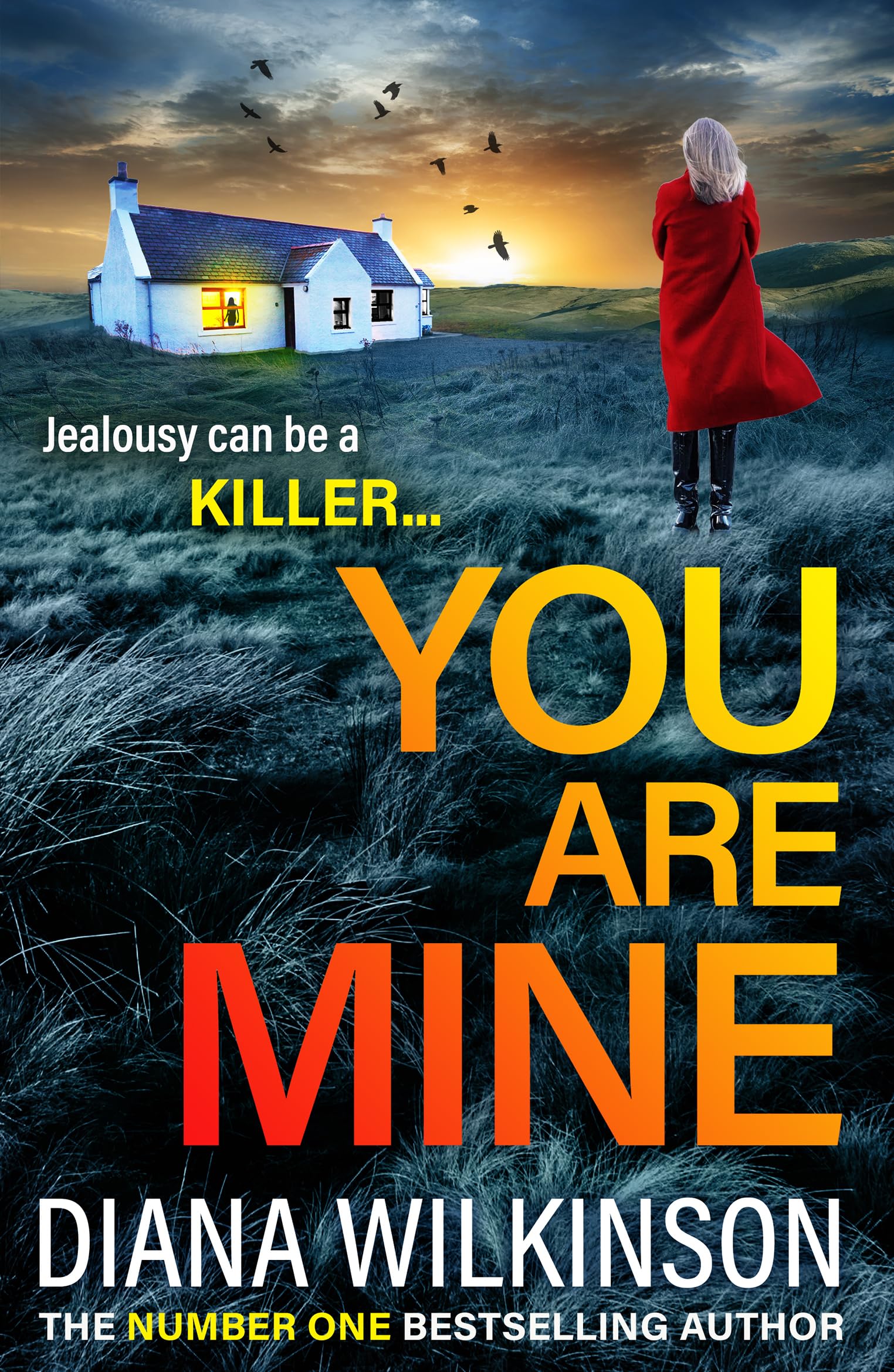 Amazon | You Are Mine | Wilkinson, Diana | Suspense