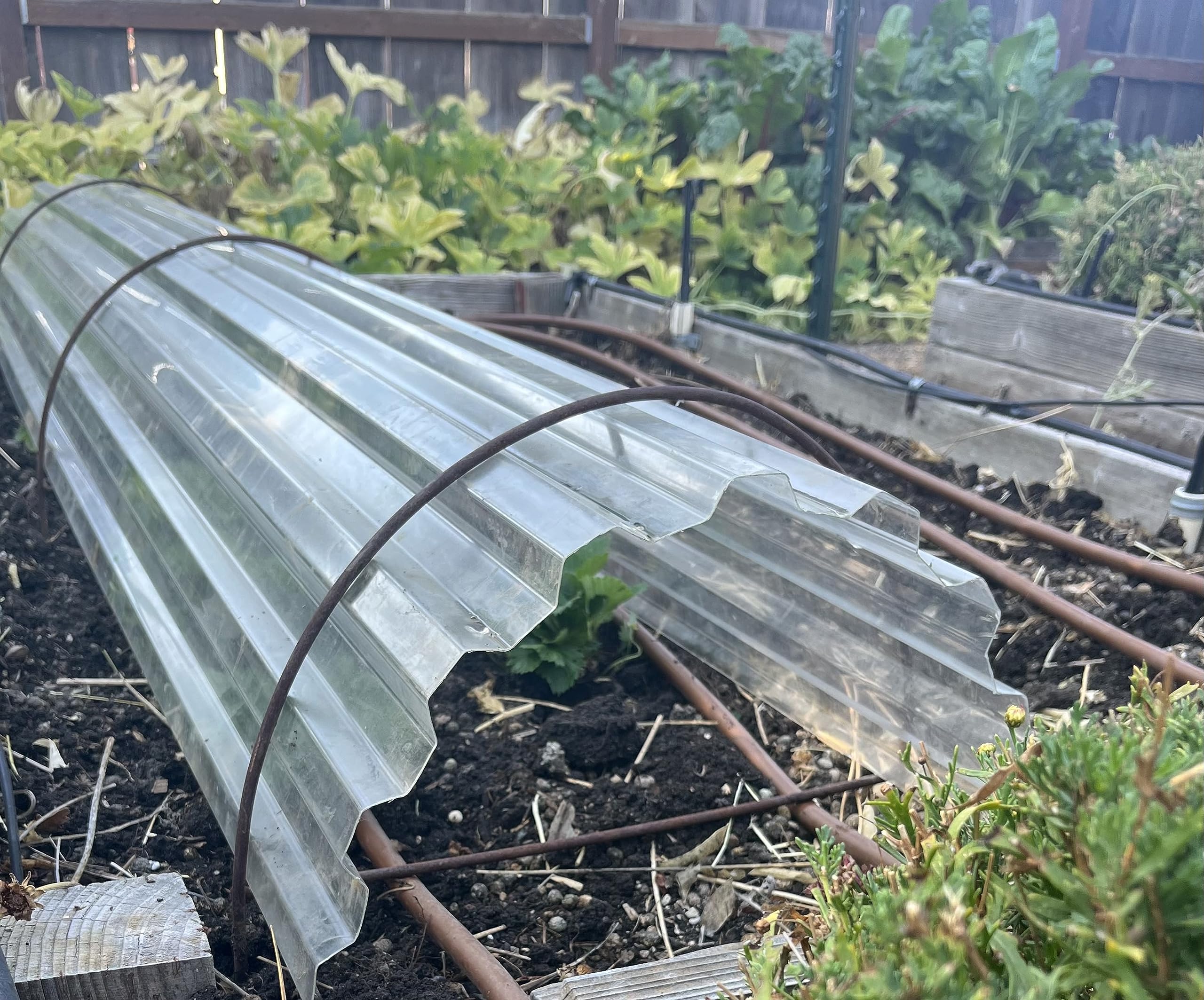 Metal Hoop Greenhouse Plans