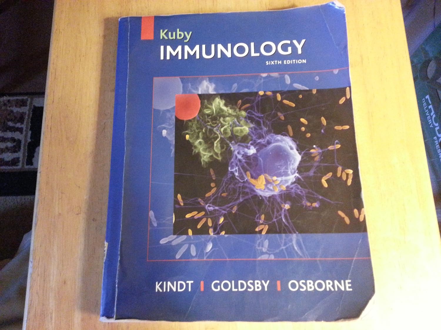 Buy Kuby Immunology Book Online at Low Prices in India | Kuby ...
