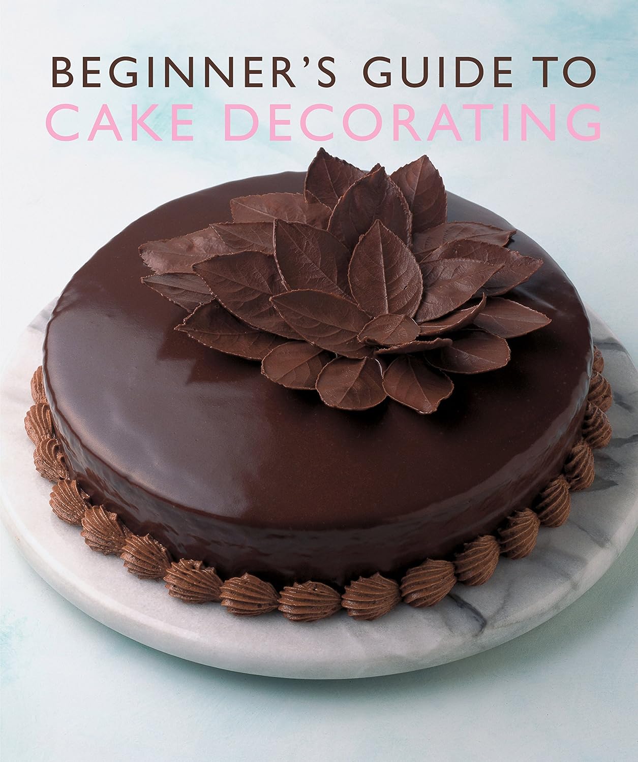 Beginner's Guide to Cake Decorating (Murdoch Books): Murdoch Books ...