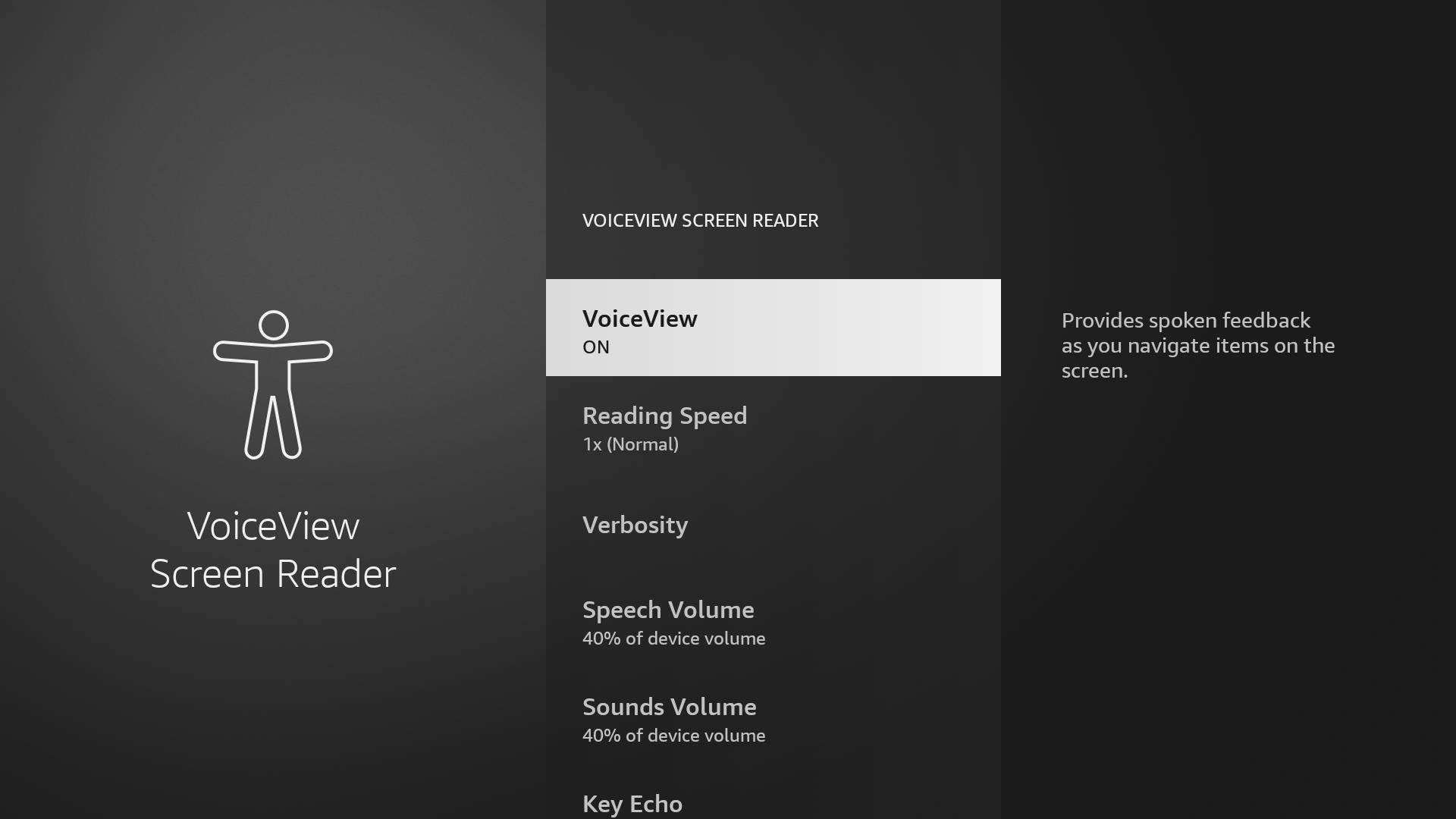 VoiceView Settings - Loader shortcut for Fire TV - App on Amazon Appstore