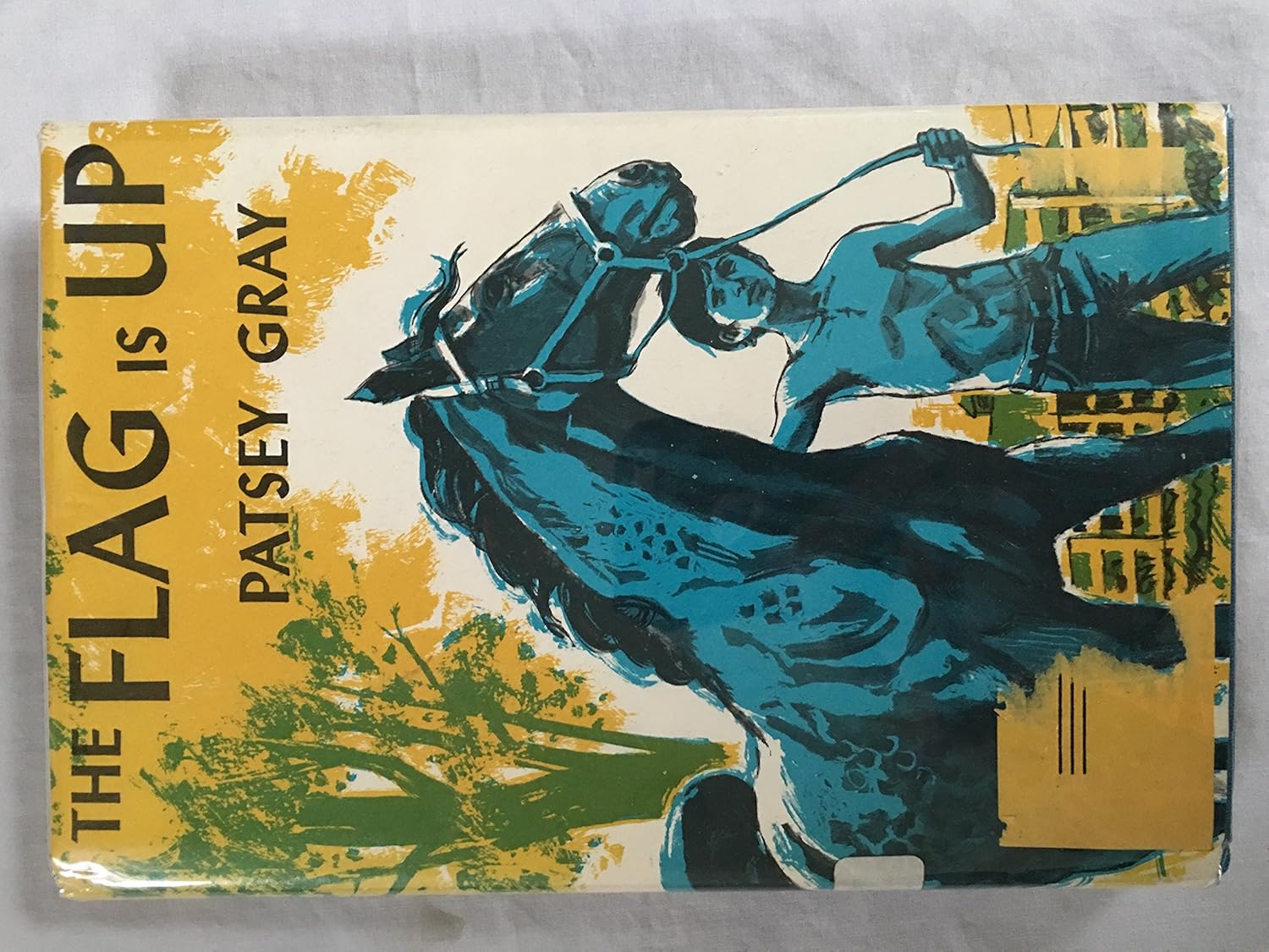 The Flag is Up: Gray, Patsey: Amazon.com: Books