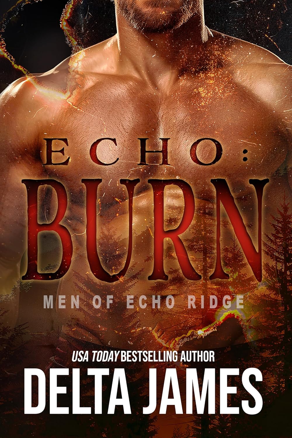 Echo: Burn: A Military Romantic Suspense (Men of Echo Ridge Book 1 ...