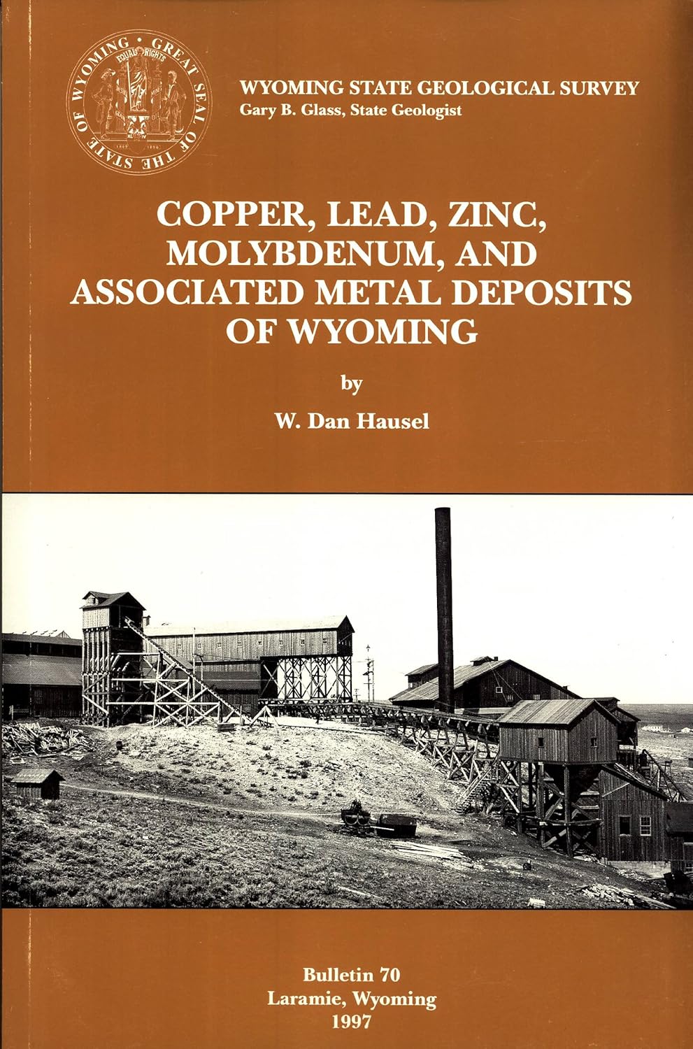 Amazon.com: Copper, Lead, Zinc, Molybdenum, and Associated Metal ...