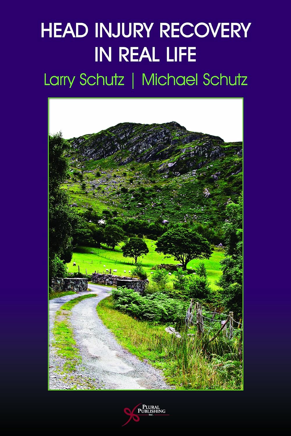 Head Injury Recovery in Real Life: 9781597563789: Medicine & Health ...