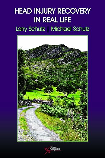 Head Injury Recovery in Real Life: 9781597563789: Medicine & Health ...