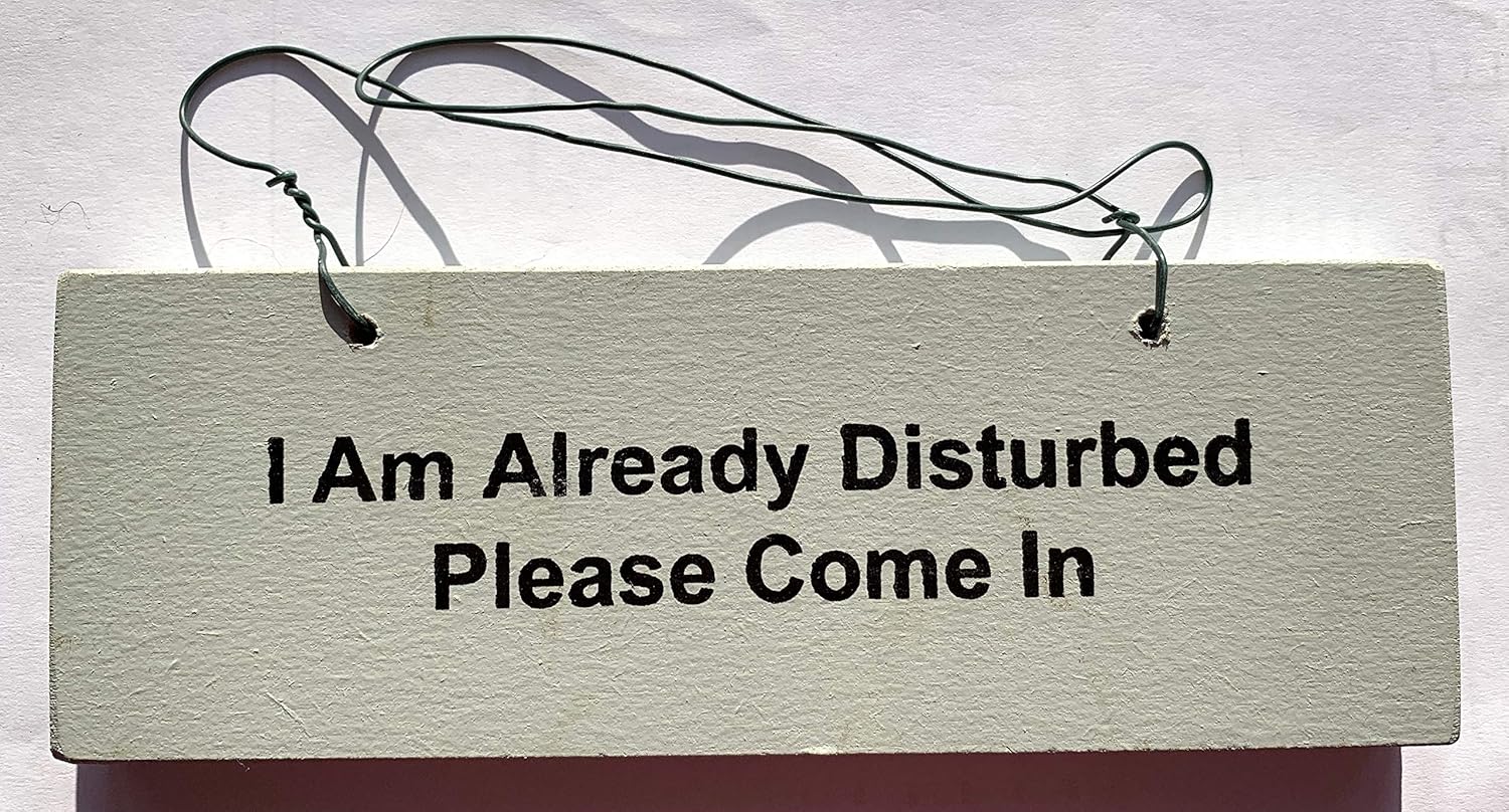 Schild für die Gartentür, Holz, Aufschrift "I Am Already Disturbed ...