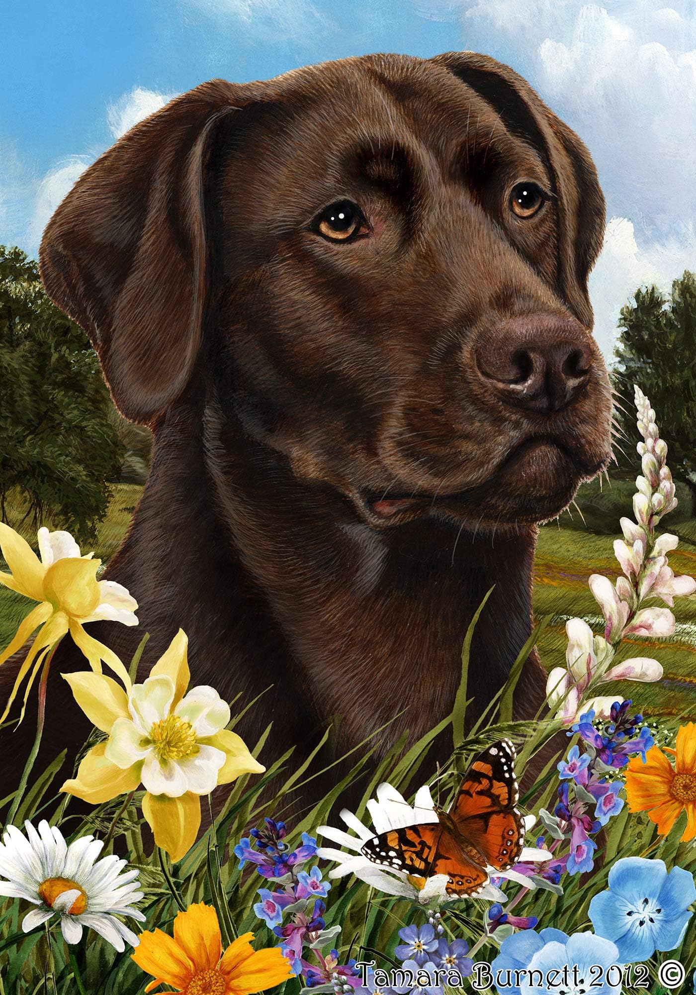 Amazon.com : Labrador Chocolate - Best of Breed - HHS Merry Christmas ...