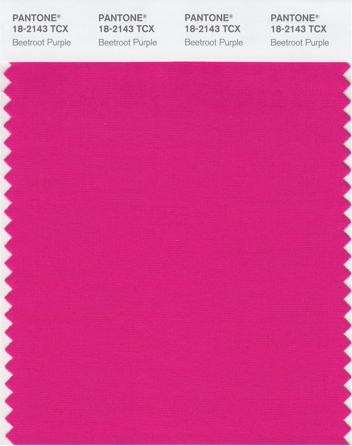 PANTONE Smart 18-2143X Color Swatch Card, Beetroot Purple - House Paint ...