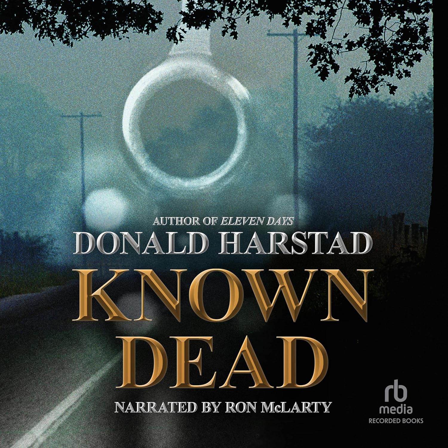 Amazon.com: Known Dead (Audible Audio Edition): Donald Harstad, Ron ...