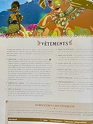 The Legend of Zelda: Tears of the Kingdom - Le guide officiel complet - Édition collector ...