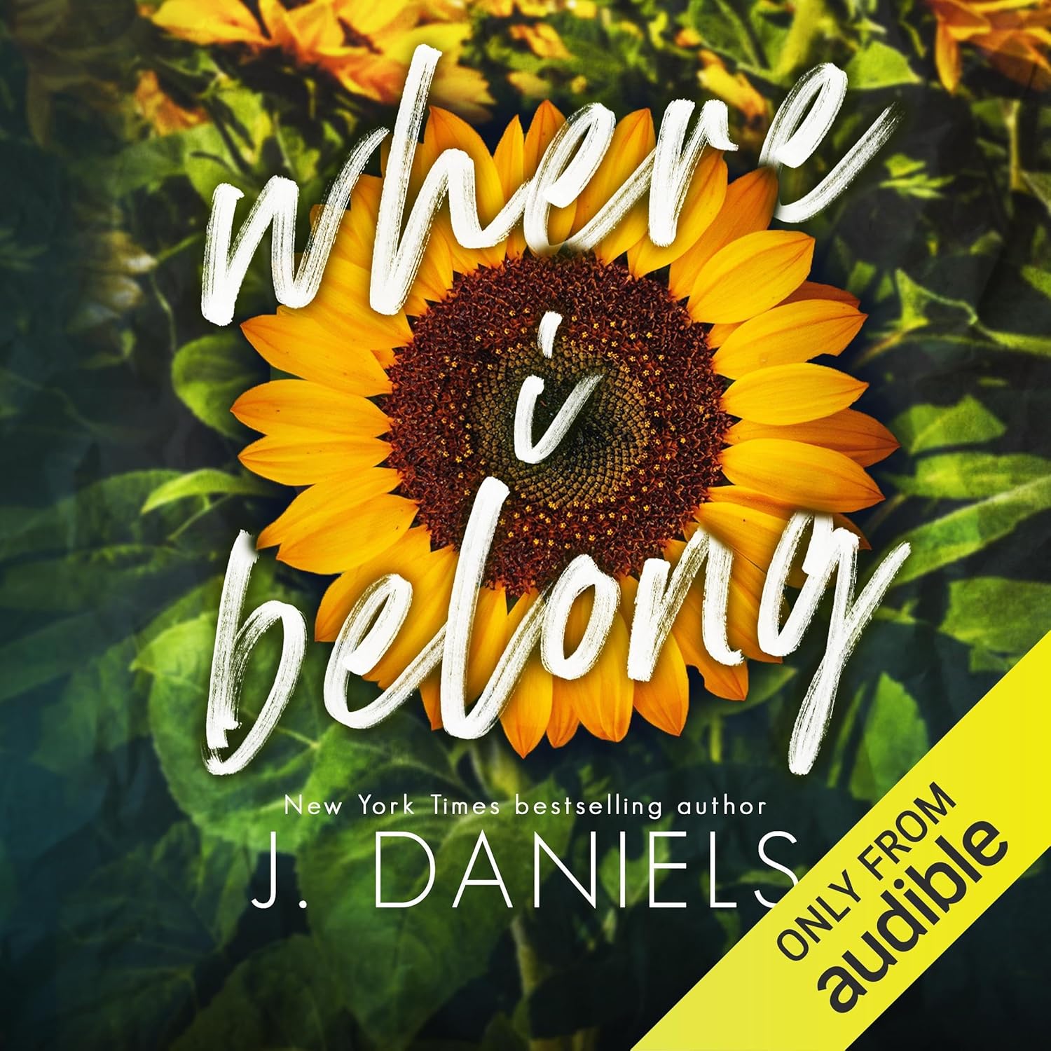 Amazon.com: Where I Belong (Audible Audio Edition): J. Daniels, Stella ...