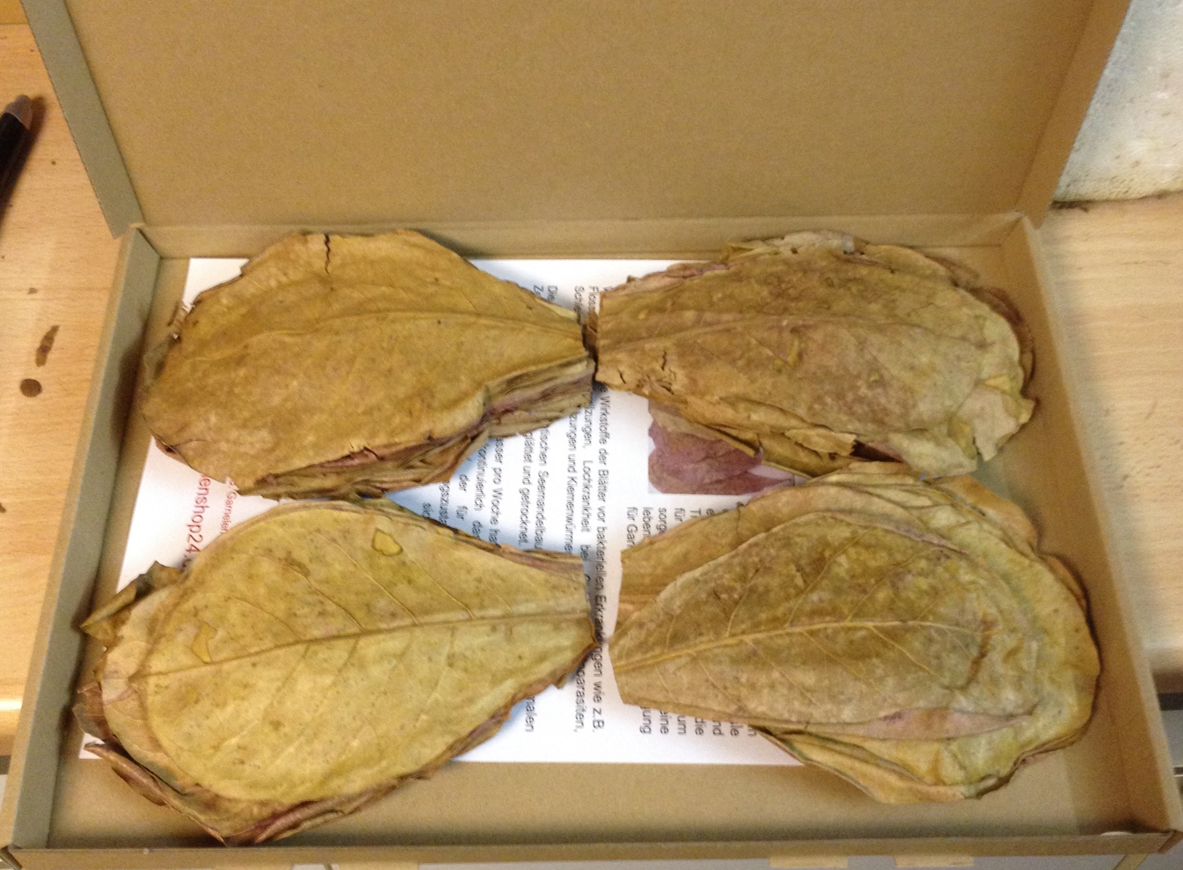 Nano Indian Almond Leaves 10 Cm Approx 100 G Pack | Desertcart QATAR