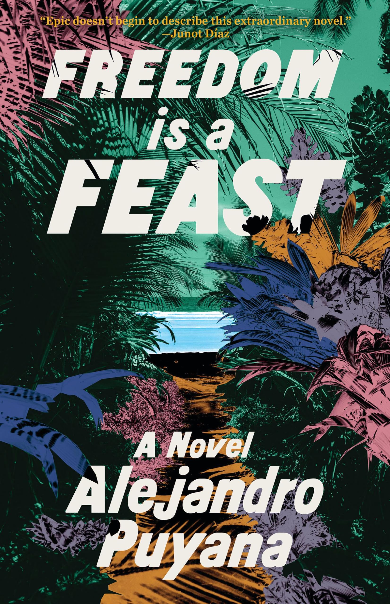Freedom Is a Feast: Puyana, Alejandro: 9780316571784: Amazon.com: Books