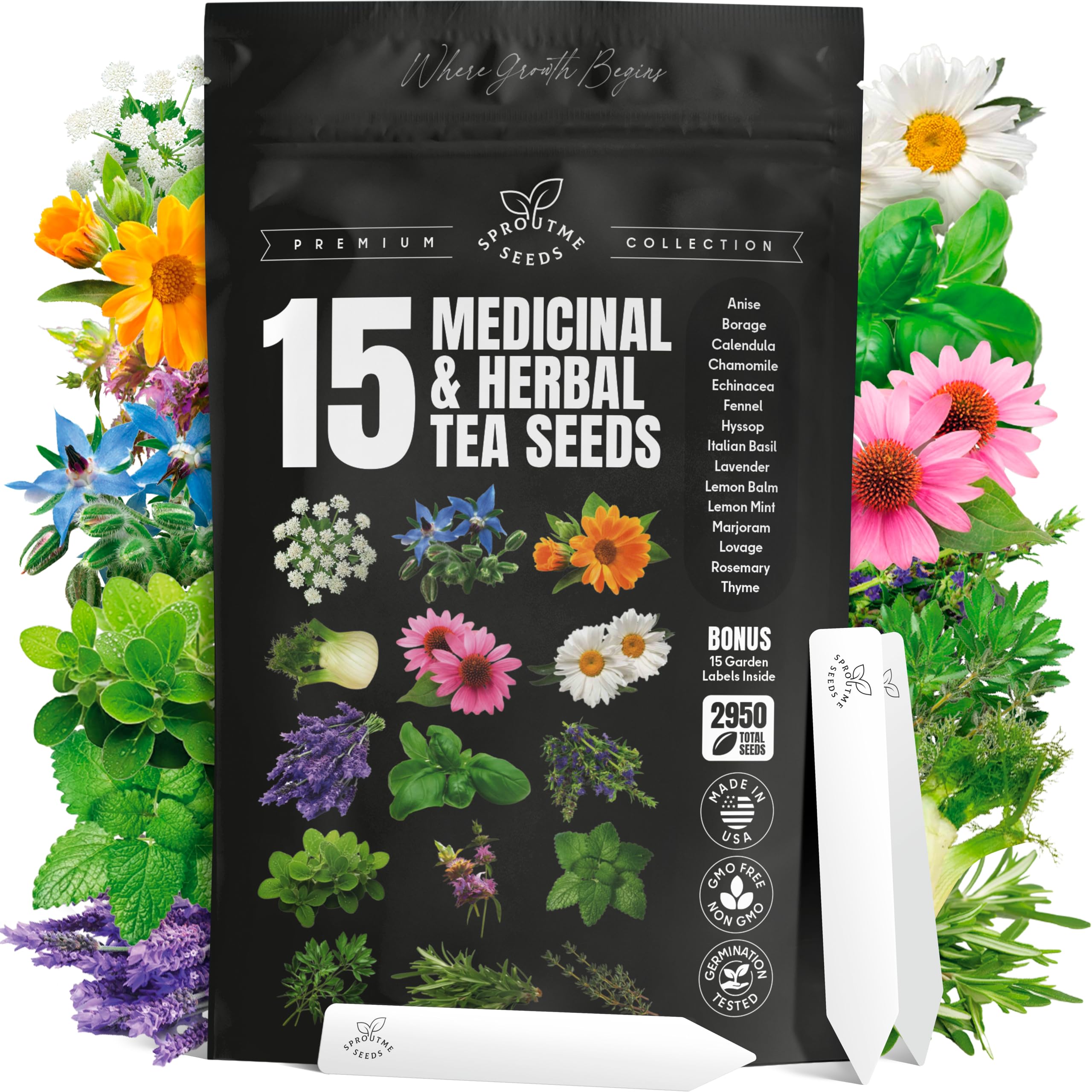Amazon.com : 15 Medicinal & Herbal Tea Seeds Variety Pack Home Garden ...