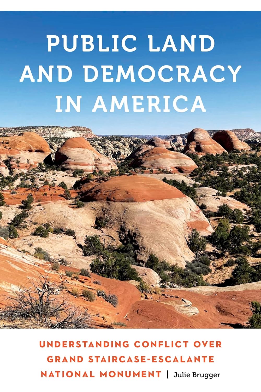 Buy Public Land and Democracy in America: Understanding Conflict over ...