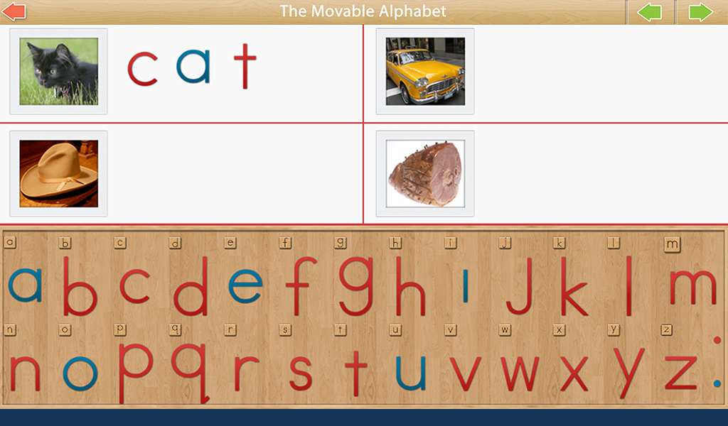 Montessori Movable Alphabet - Build Words and Phrases - A Montessori ...