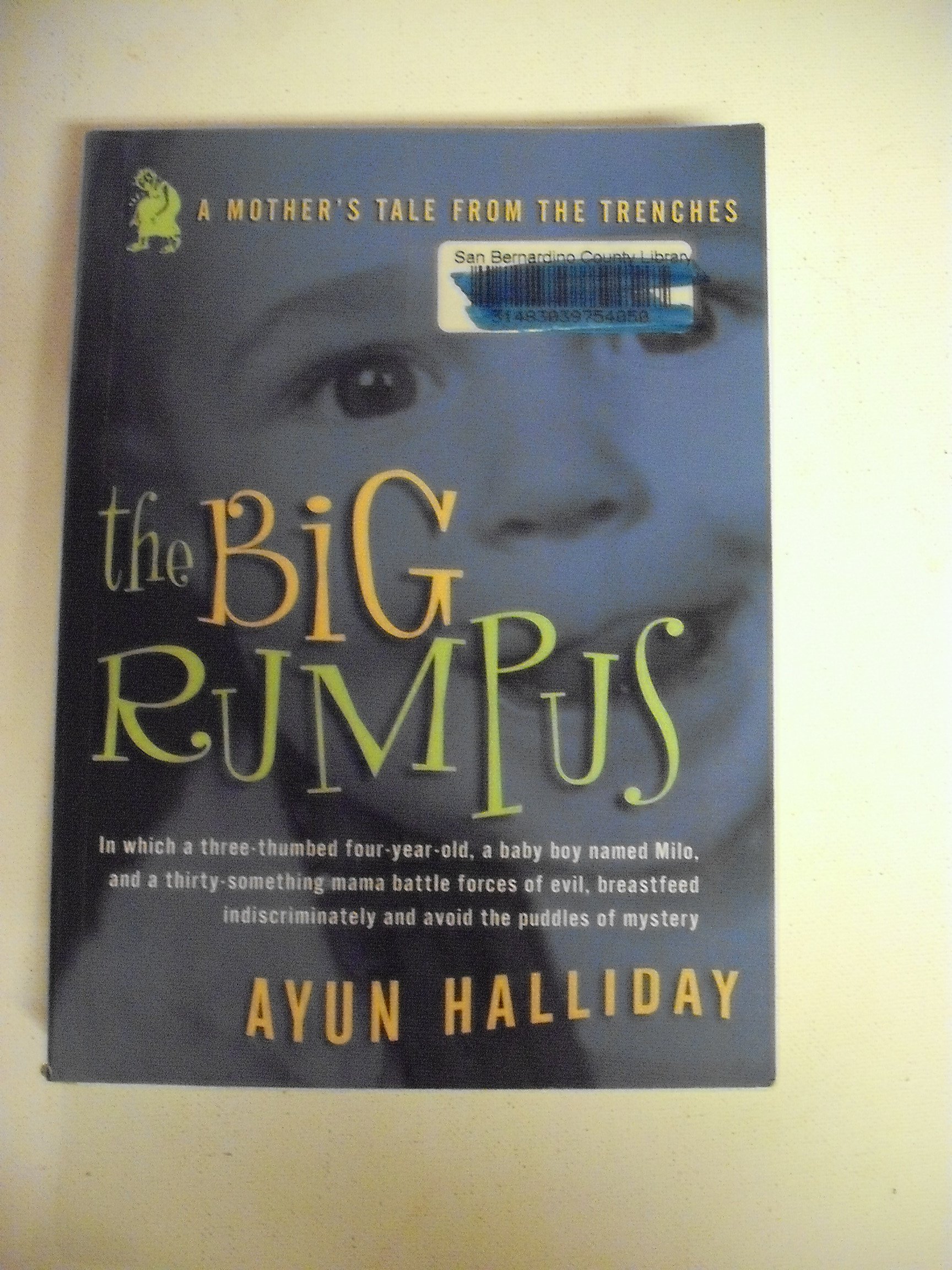 The Big Rumpus: A Mother's Tale from the Trenches (Live Girls ...