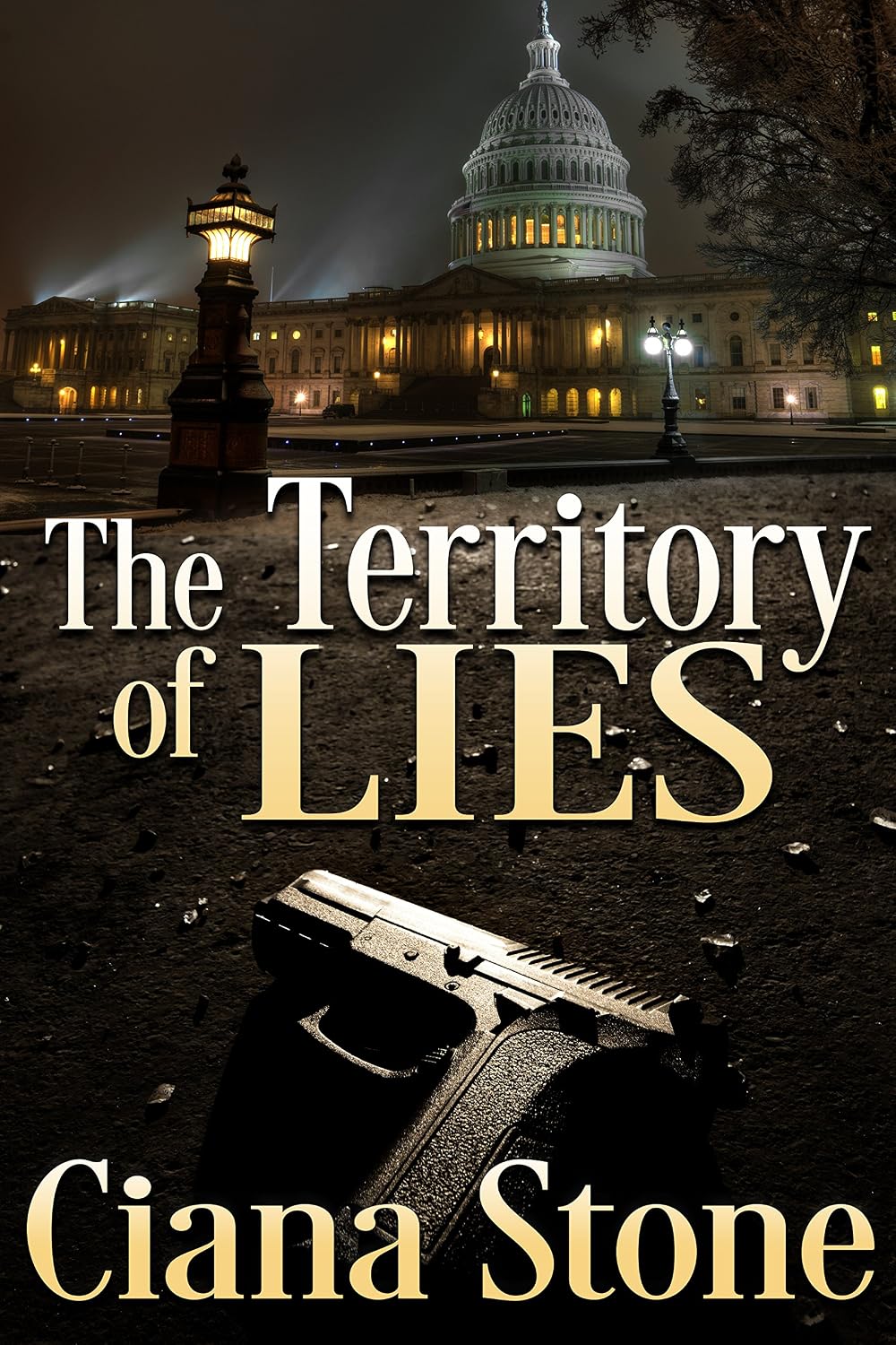 The Territory of Lies eBook : Stone, Ciana, Gower, S.: Amazon.in ...