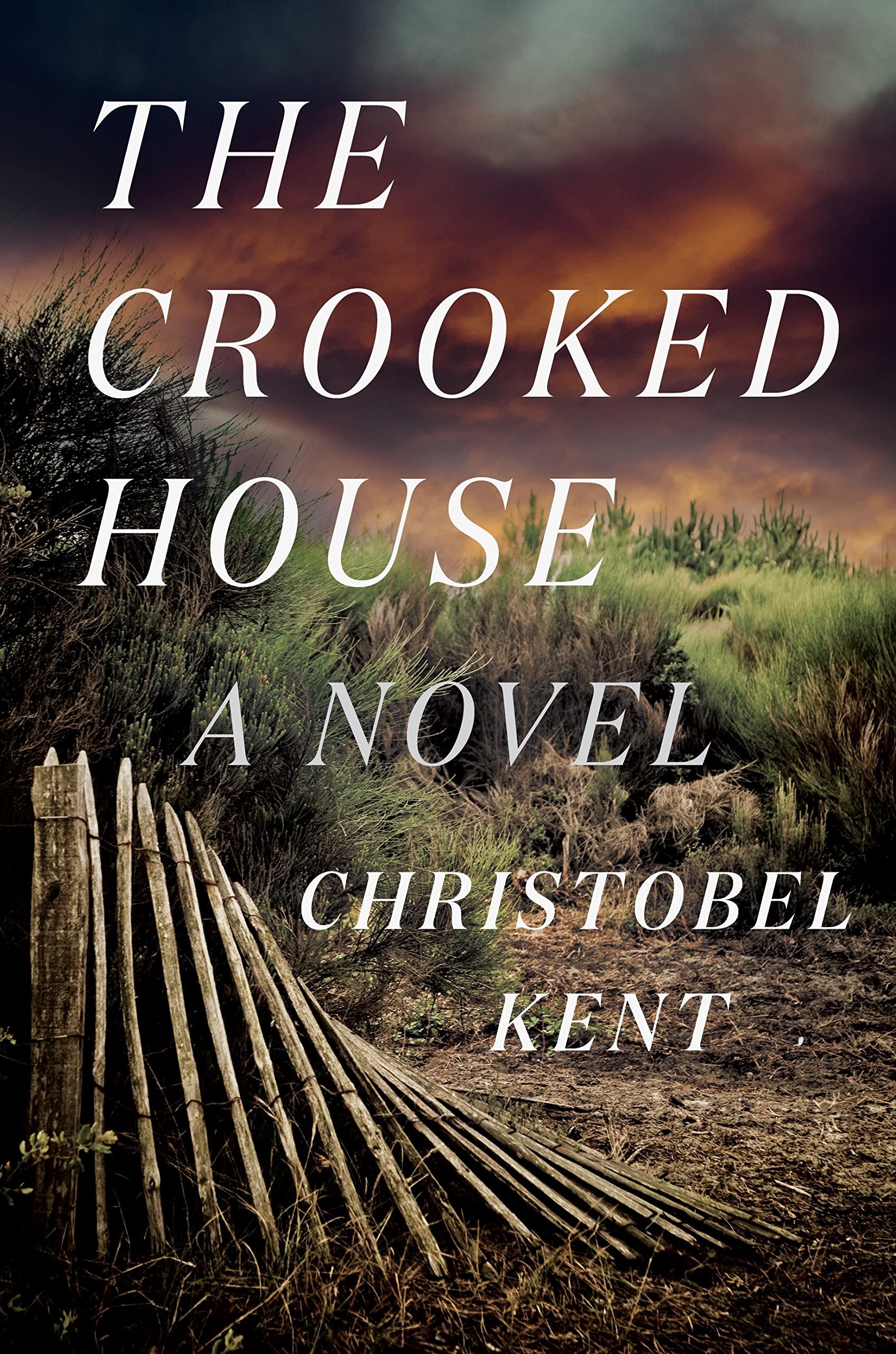 The Crooked House: A Novel: Kent, Christobel: 9780374131821: Amazon.com ...
