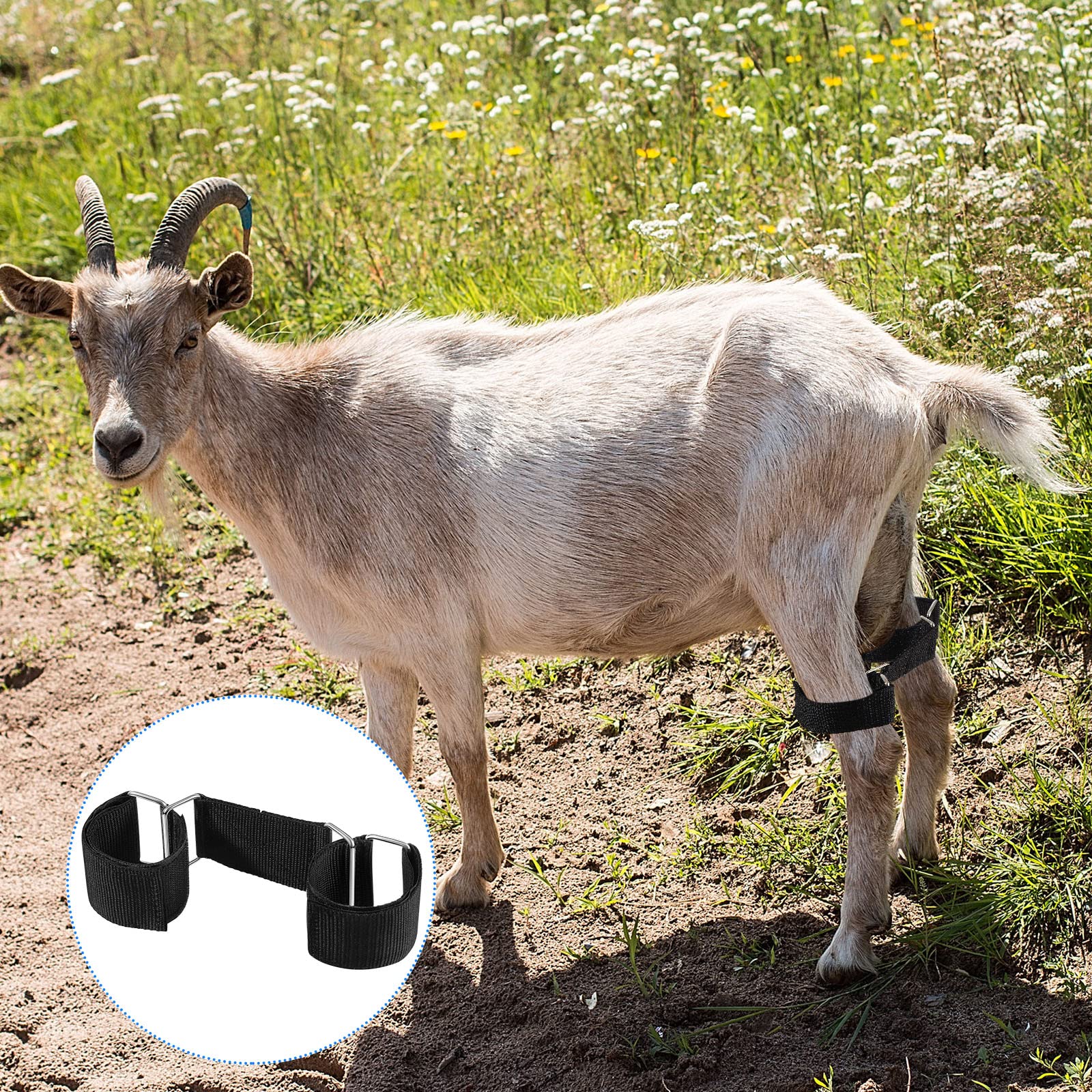 Snapklik.com : 4 Pcs Goat Hobbles Binding Tool For Milking Goat Milking ...