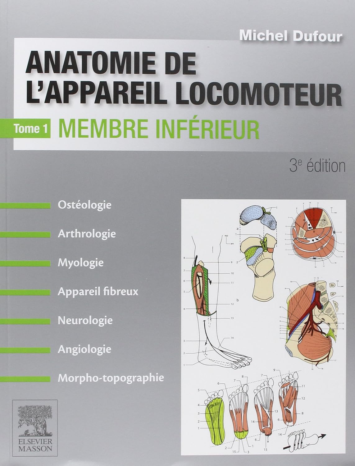 ANATOMIE APPAREIL LOCOMOTEUR T.01 3E ÉD.: Dufour, Michel, Elsevier ...