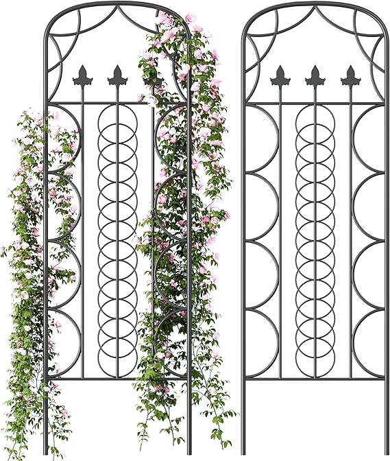Amazon.com : Idzo 71 in. Decorative Metal Trellis for Climbing Plants ...