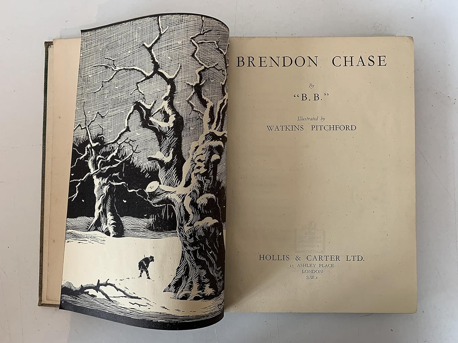 Brendon Chase.: BB, illustrated by D J Watkins Pitchford: Amazon.com: Books