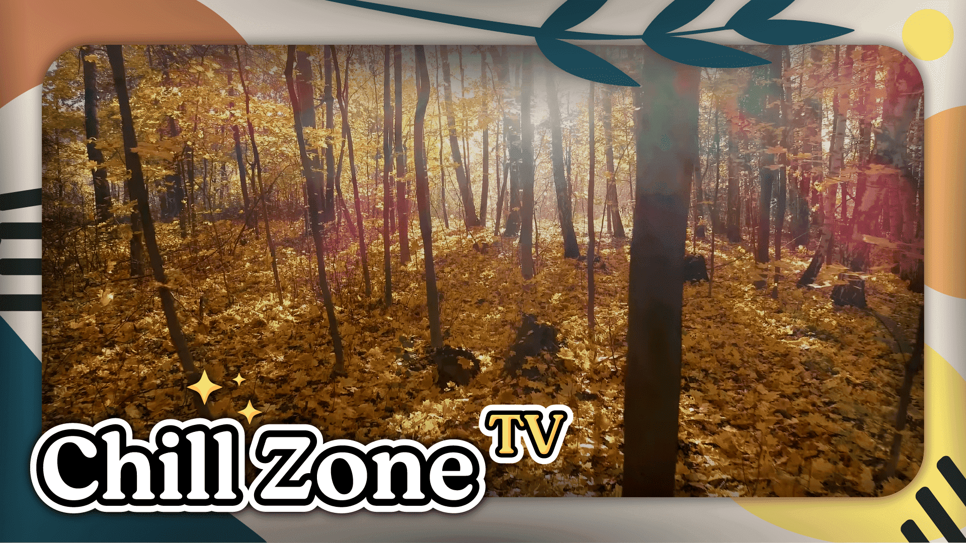 Chill Zone TV - App on Amazon Appstore