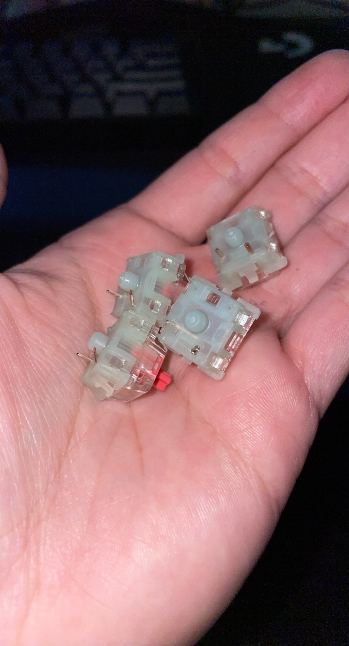 Amazon.com: RGB Cherry mx Switch 3 pin Mechanical Keyboard Speed Silver ...