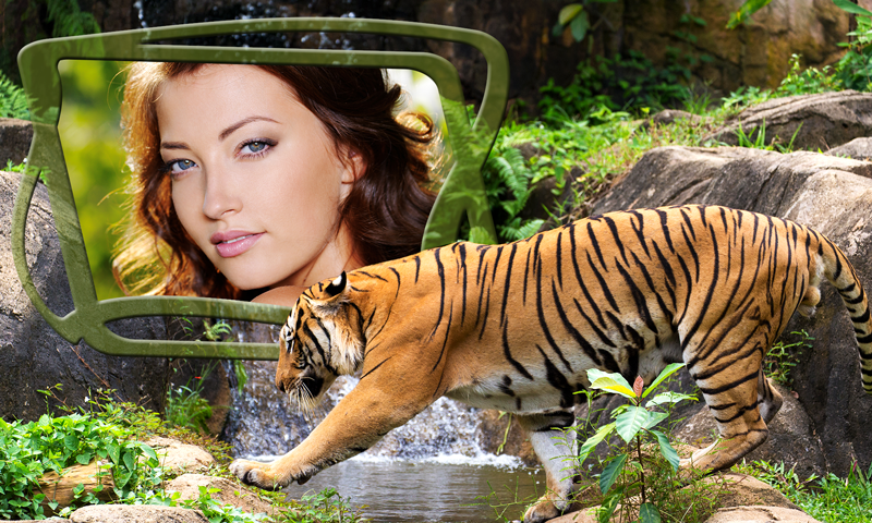 Tiger Photo Frames - App on Amazon Appstore