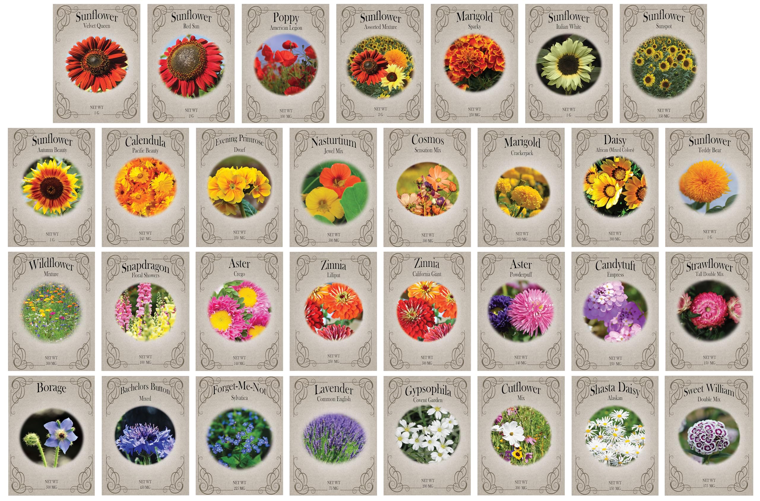 Amazon.com : Set of 31 Premium Variety Flower Seed Packets - Heirloom ...