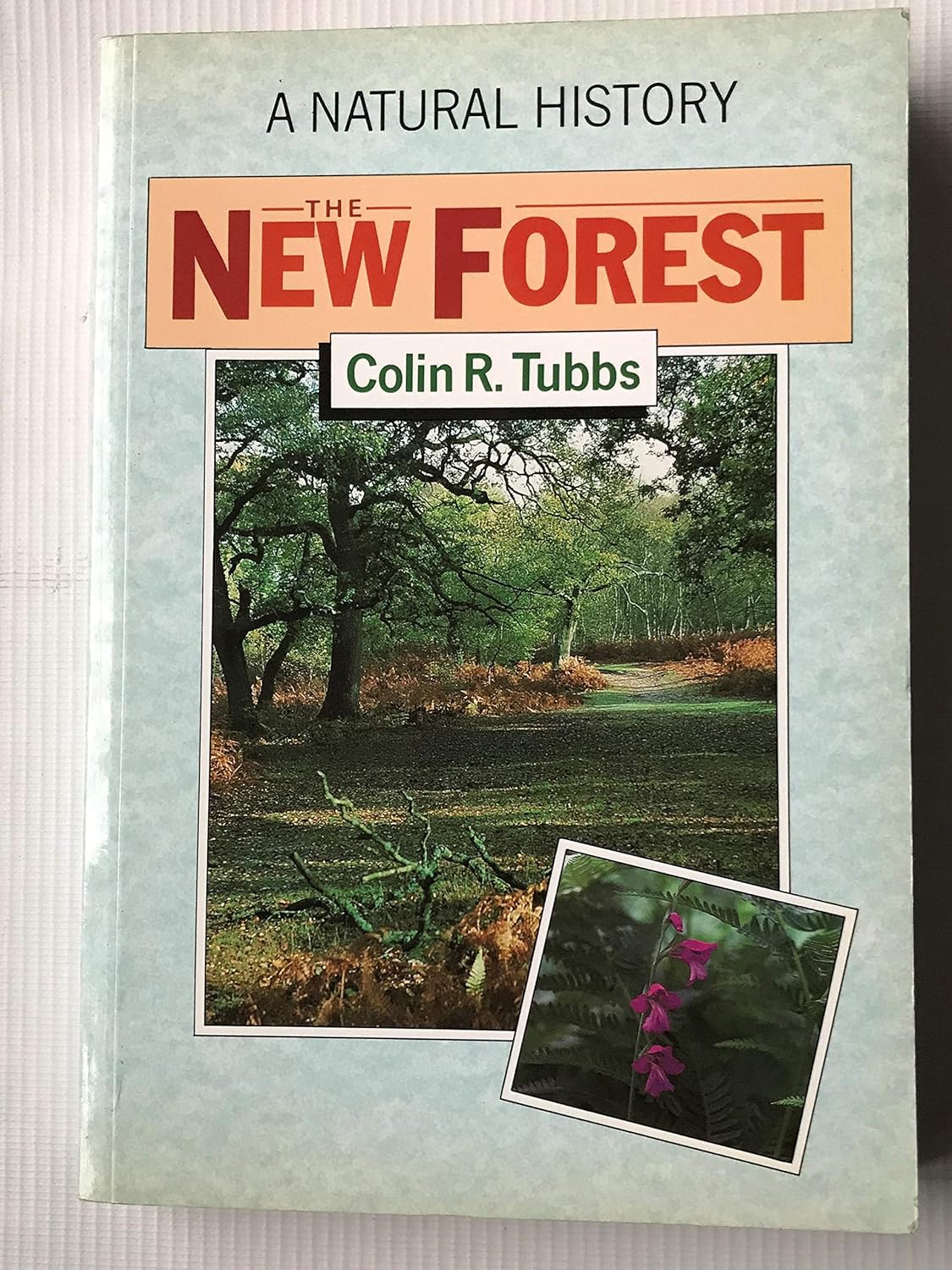 The New Forest (Collins New Naturalist): Amazon.co.uk: Tubbs, Colin R ...