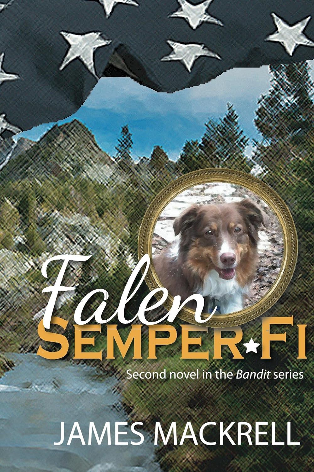 Amazon.com: Falen, Semper Fi (The Bandit Series Book 2) eBook ...