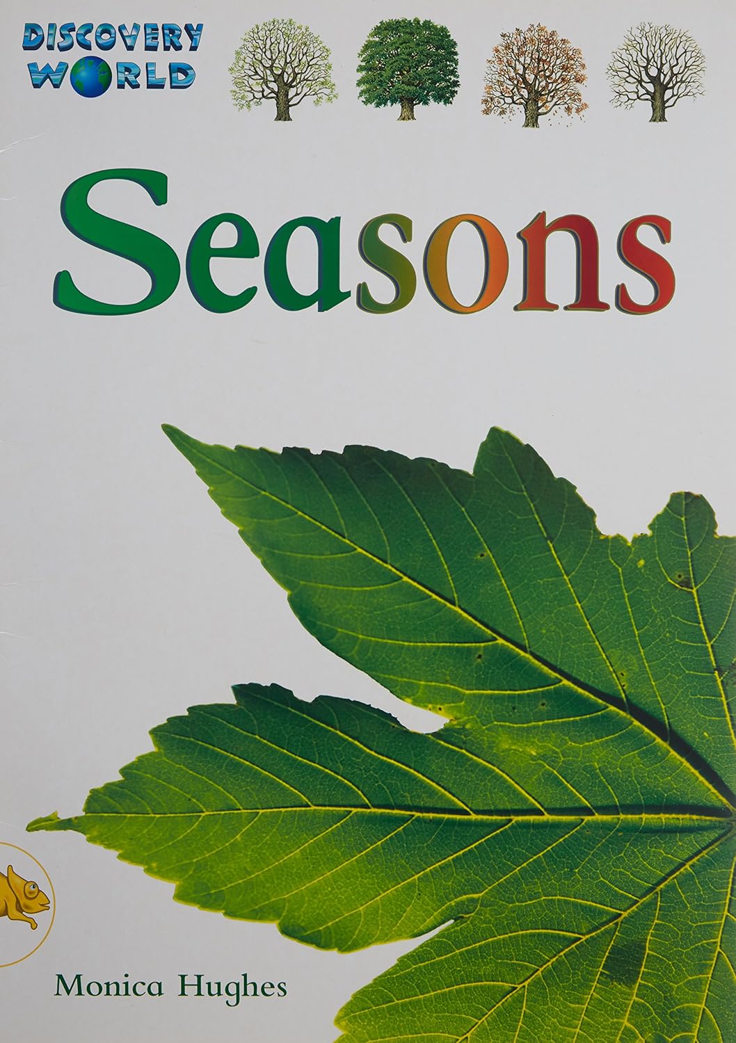 Discovery World Stage A Seasons Big Book: Amazon.co.uk: 9780435097769 ...