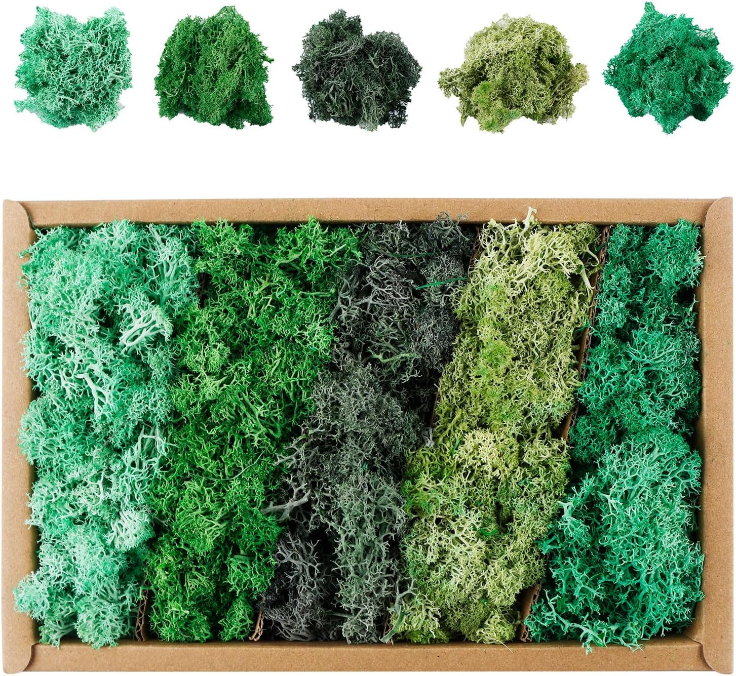 MXTIMWAN Islandmoos, Moos in 5 versch 200g für Moosbilder, Natur ...