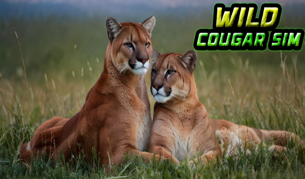 Cougar Simulator 3D 2026 - Big Cat Wild Animal Games For TV - Tablets ...
