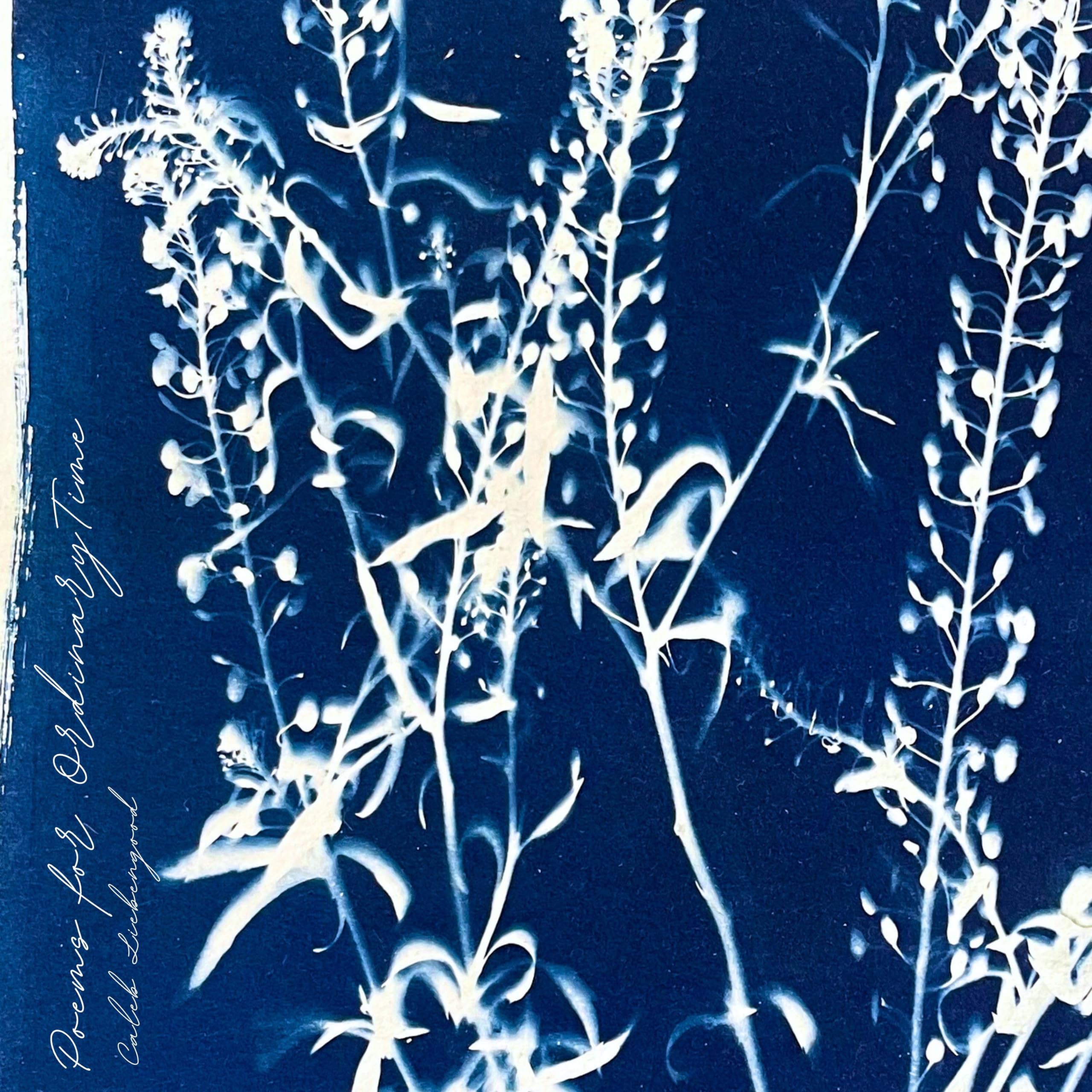 Safe in My Arms song by Claire Grace from Once Upon a Dream on Amazon Music