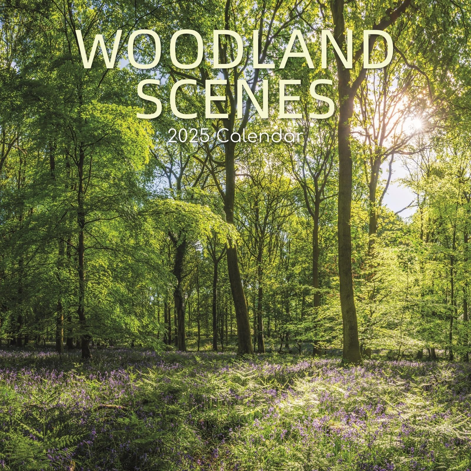 2025 Square Wall Calendar, Woodland Scenes, 16-Month Natural World ...
