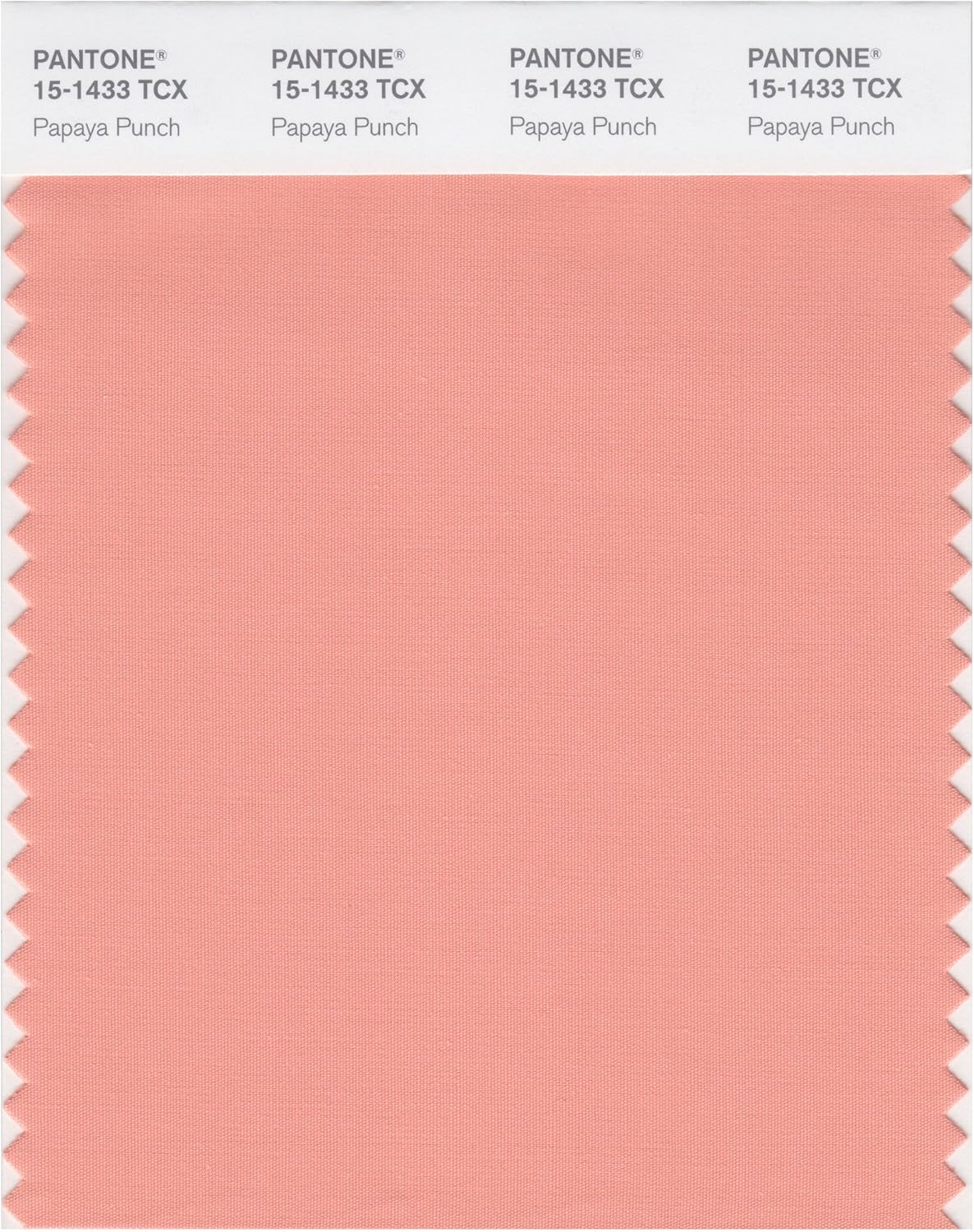 PANTONE Smart 15-1433X Color Swatch Card, Papaya Punch : Amazon.co.uk ...