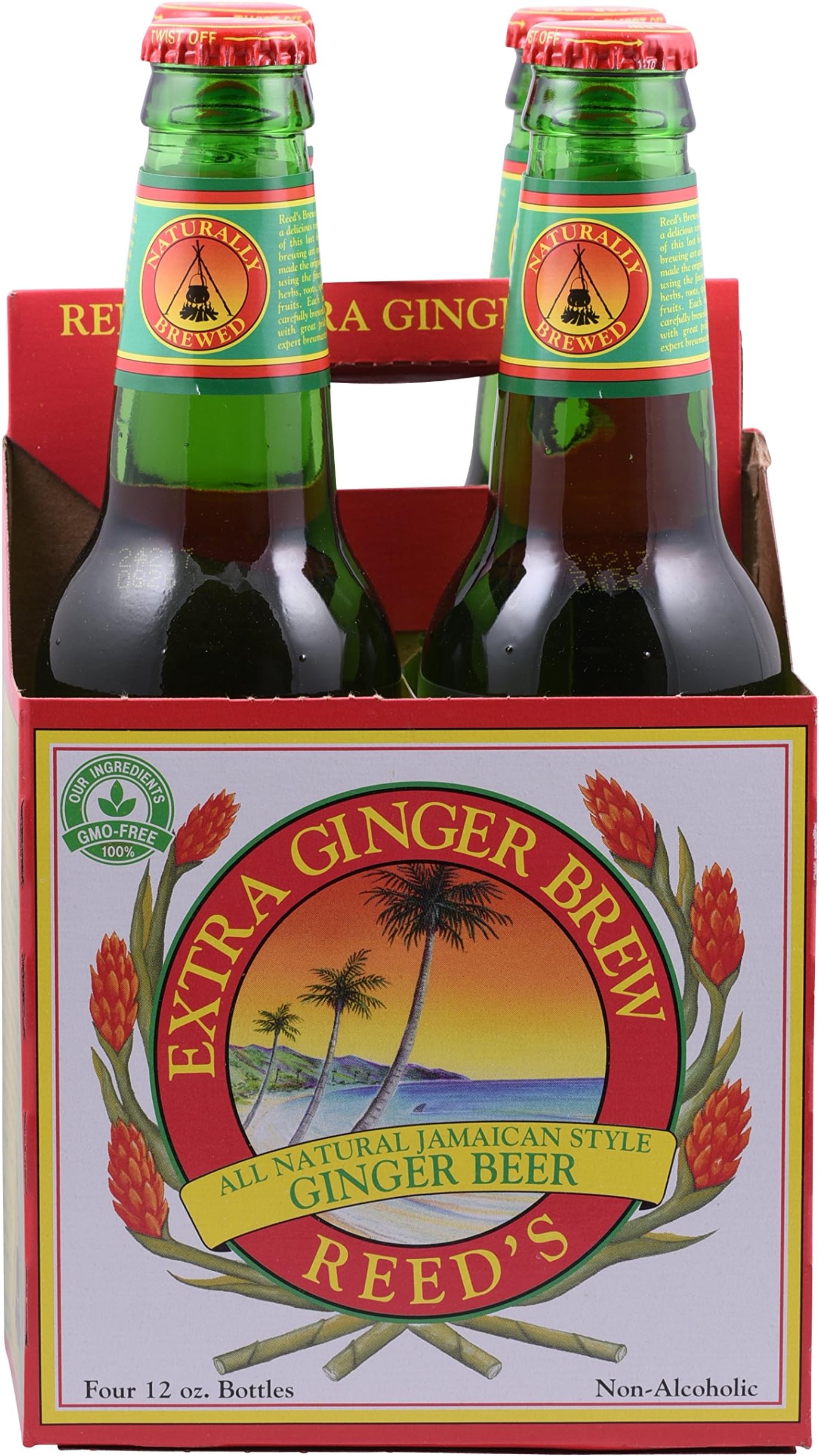 Amazon.com : Reed'S Ginger Ale Original Ginger Brew Soda, 12 Ounce (24 ...