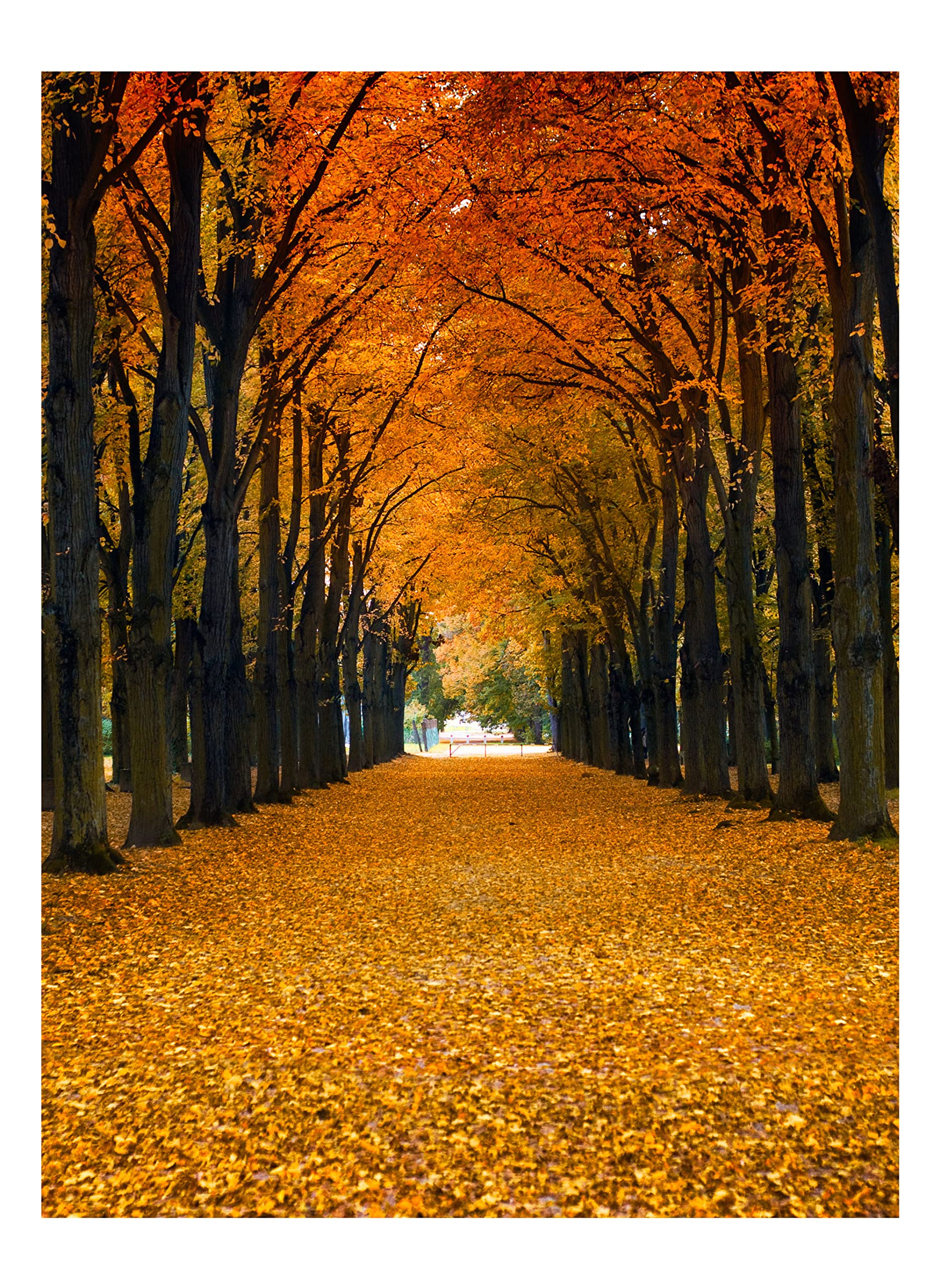 Funnytree 6x8ft Maple Leaves Photography Backdrop Autumn Fallen Yellow ...